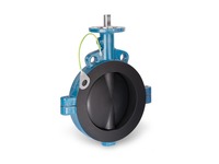 STYLE-SAFETY-SEAL | SAFETY-SEAL Butterfly Valve | Garlock