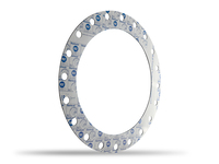 37760-6120 | MULTI-SWELL™ Style 3760 Pipe Flange Gaskets | Garlock