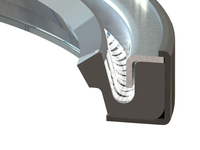 24700-3100 | KLOZURE® Model 59 Oil Seal | Garlock