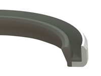 MODEL-71 | KLOZURE® Model 71 Oil Seal | Garlock