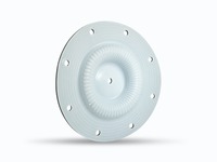 PA0183 | Garlock ONE-UP Pump Diaphragm | Garlock