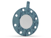 36906-6744 | BLUE-GARD® Style 3000 Pipe Flange Strainer Gaskets | Garlock