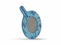 36906-8193 | Style 3000 Pipe Flange Strainer Gaskets | Garlock