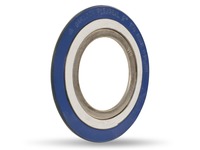 DOM0303070306001 | FLEXSEAL® RWI Spiral Wound Metal Gaskets | Garlock